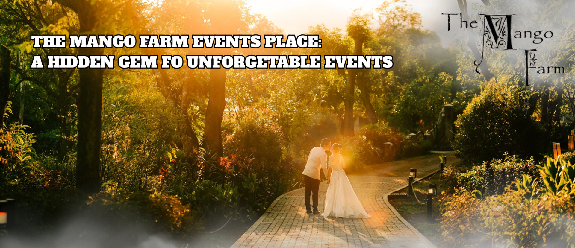 The Mango Farm Events Place – A Hidden Gem for Unforgettable Events ...